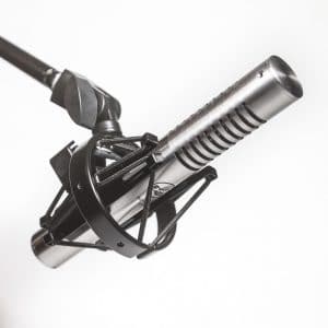 Bumblebee Pro – DIY Ribbon Mic Kits by Artur Fisher