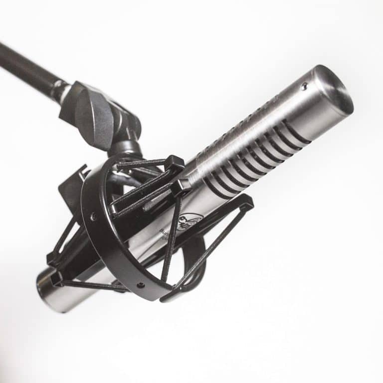 Bumblebee Pro – DIY Ribbon Mic Kits by Artur Fisher