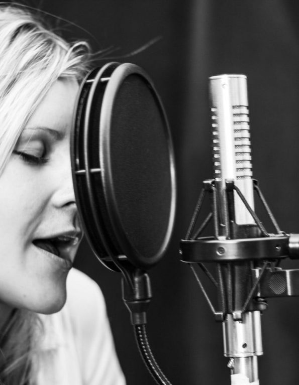 RM-5 DIY Ribbon Mic Kit with Pre-Assembled Motor – Bumblebee Pro